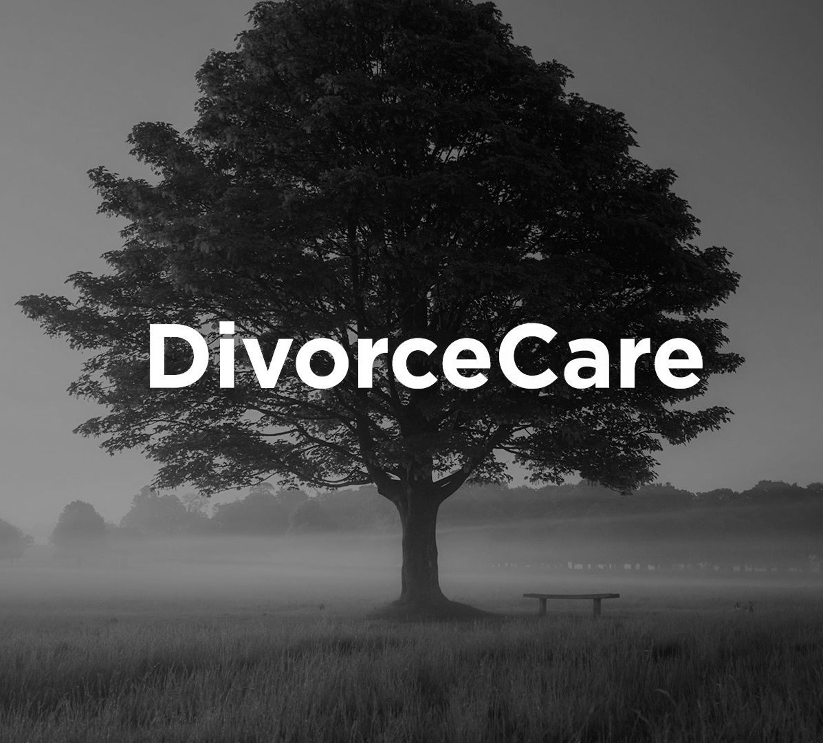 Connect - Grace Church Reno